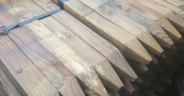 Treated Wooden Spikes